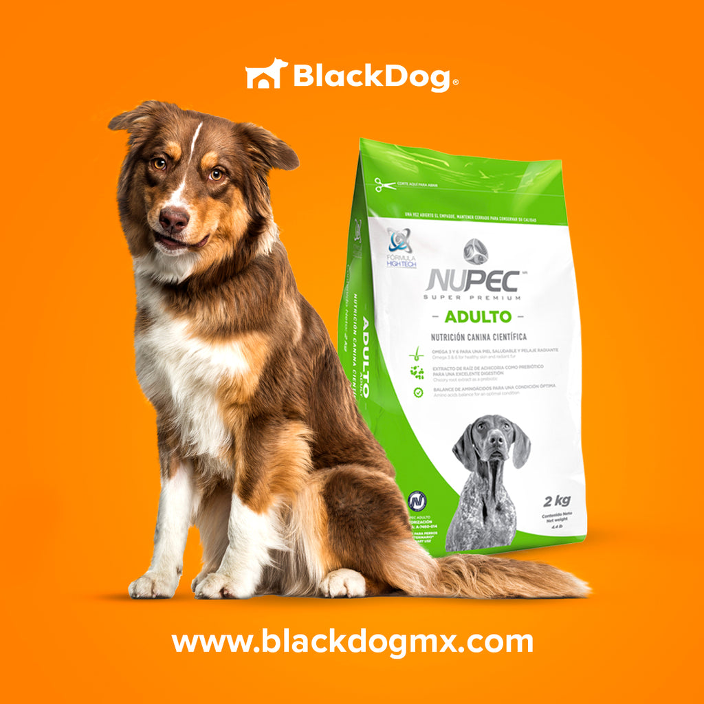 Nupec Adulto Razas Medianas y Grandes – Black Dog Shop