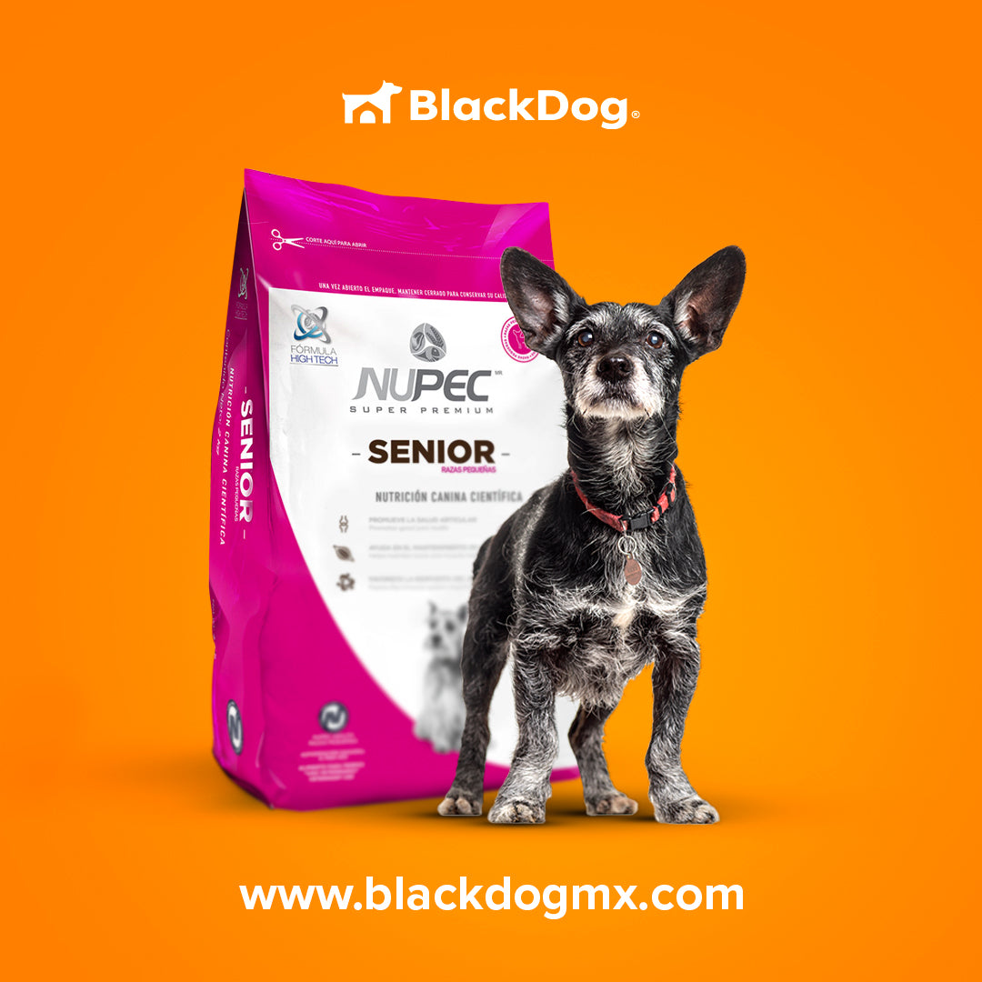 Nupec Adulto Mayor / Senior Razas Pequeñas – Black Dog Shop