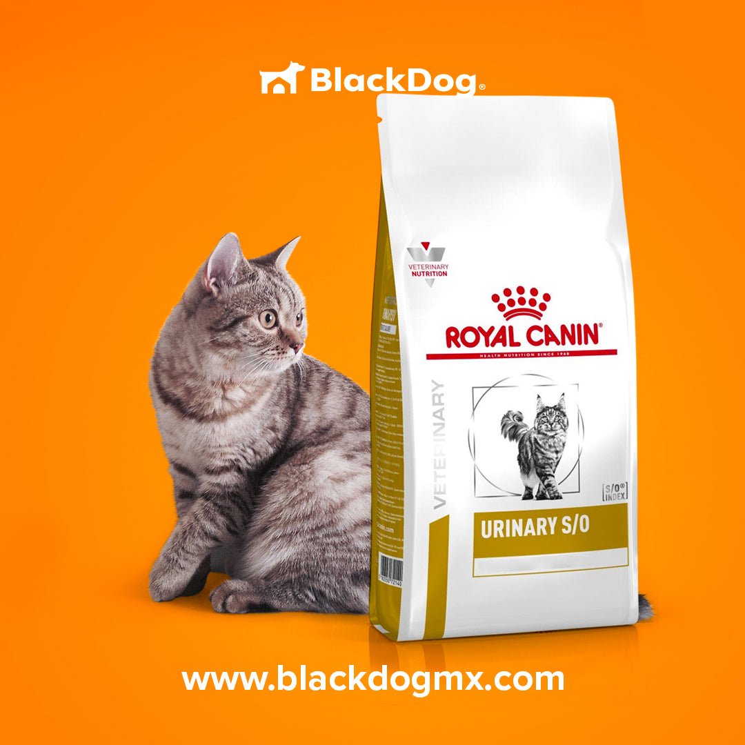 Royal Canin Urinary SO Felino / Vías Urinarias Gato – Black Dog Shop