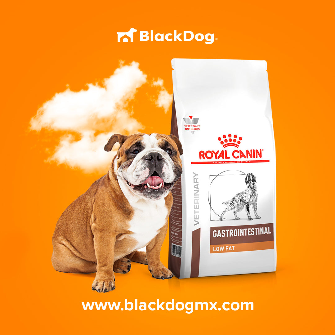 Royal Canin Gastrointestinal Low Fat / Gastrointestinal Bajo en Grasa ...