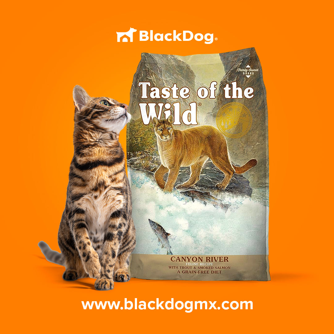 Taste Of The Wild Canyon River Feline / Trucha y Salmón para Gato ...