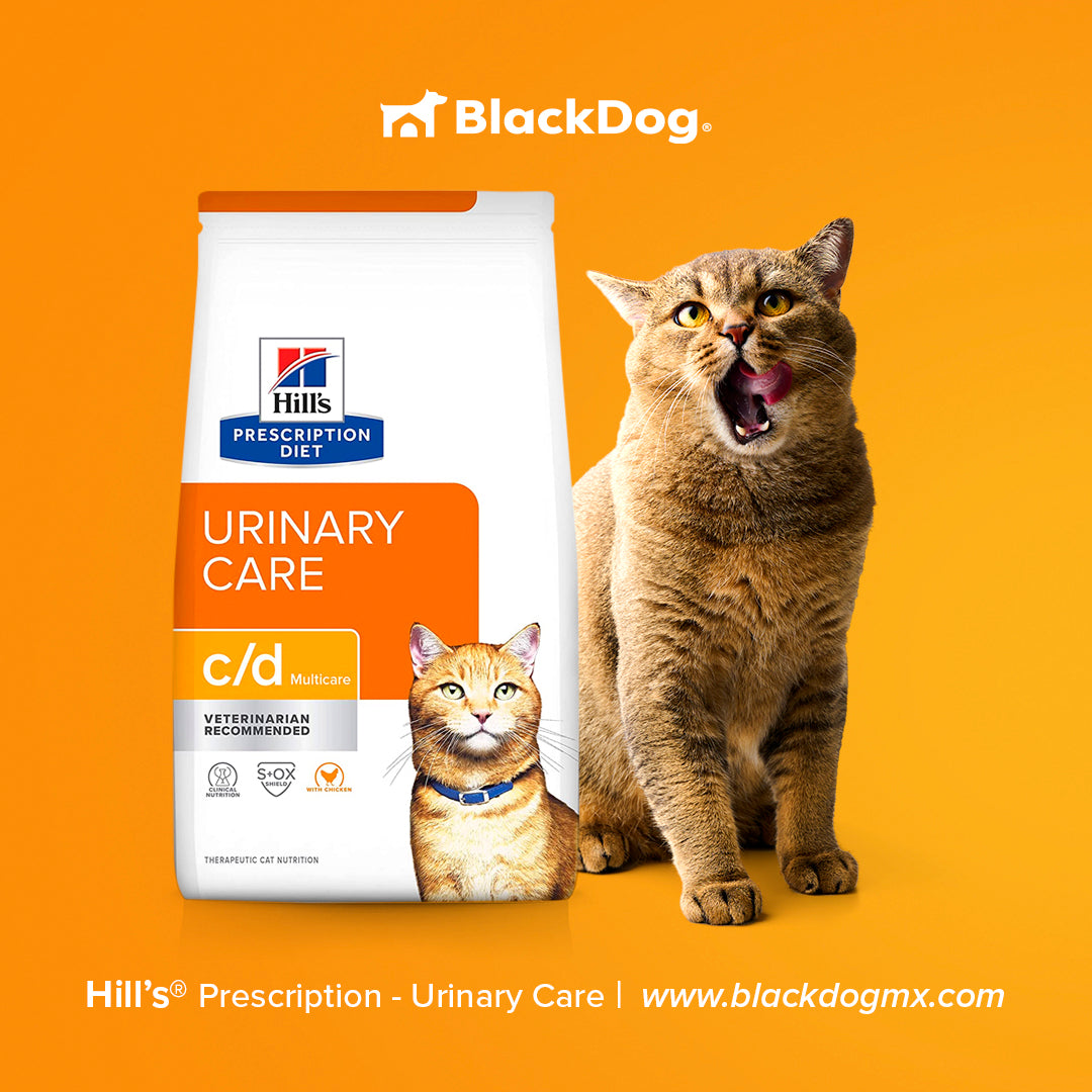 Hills Pescription Diet c/d Urinary Care / Cuidado Urinario Gato – Black ...