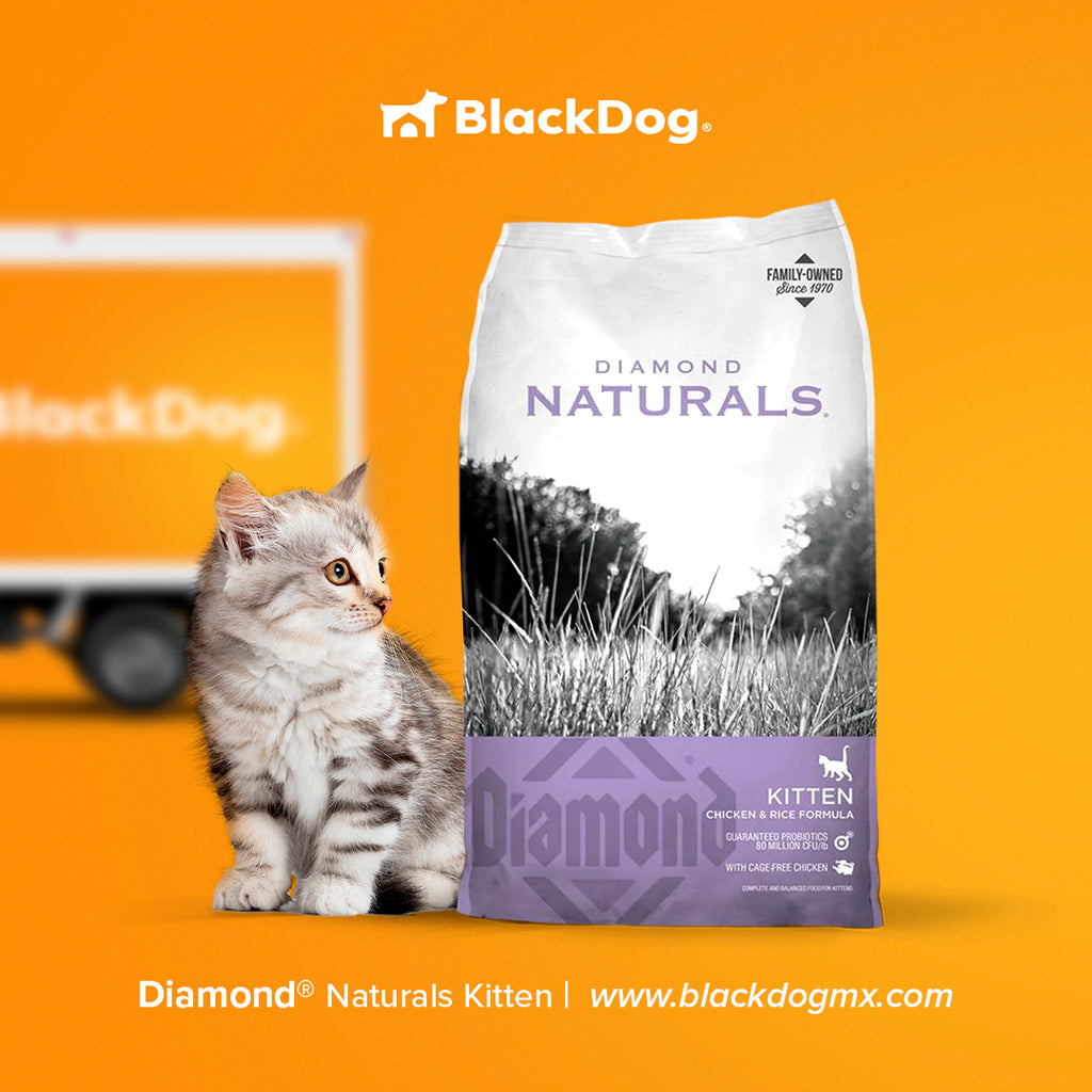 Diamond Naturals Kitten / Gato Cachorro – Black Dog Shop