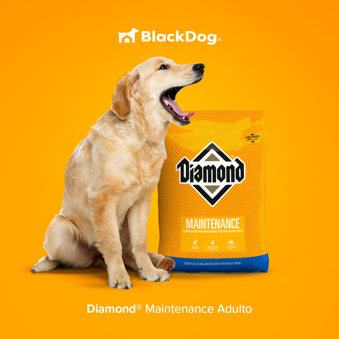 Diamond Maintenance Dog / Mantenimiento Perro – Black Dog Shop