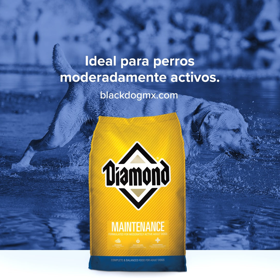 Diamond Maintenance Dog / Mantenimiento Perro – Black Dog Shop