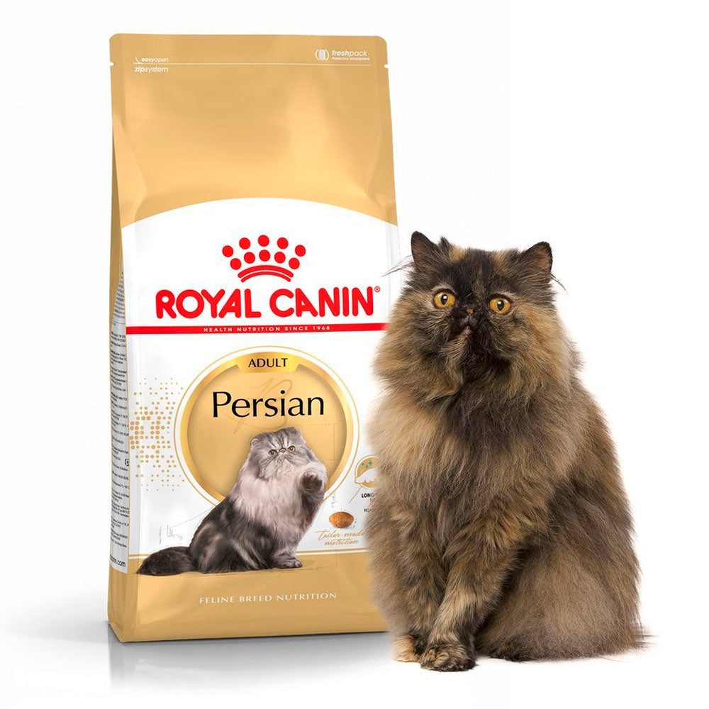 Royal Canin Gato Persa Adulto / Persian Adult – Black Dog Shop